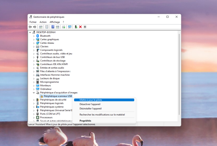 Windows 11 : nos meilleures astuces pour améliorer et optimiser votre ...